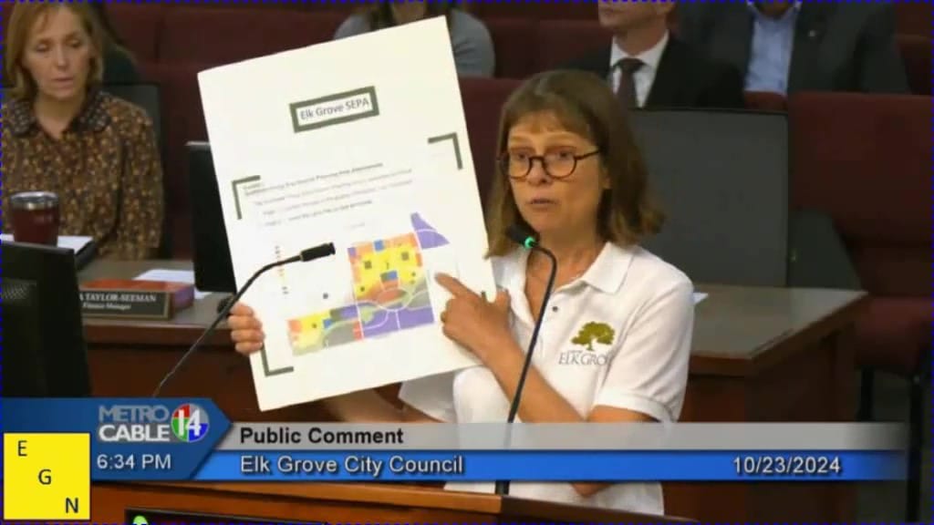 Mayoral candidate Lynn Wheat says Elk Grove should build affordable housing, not a zoo on ...